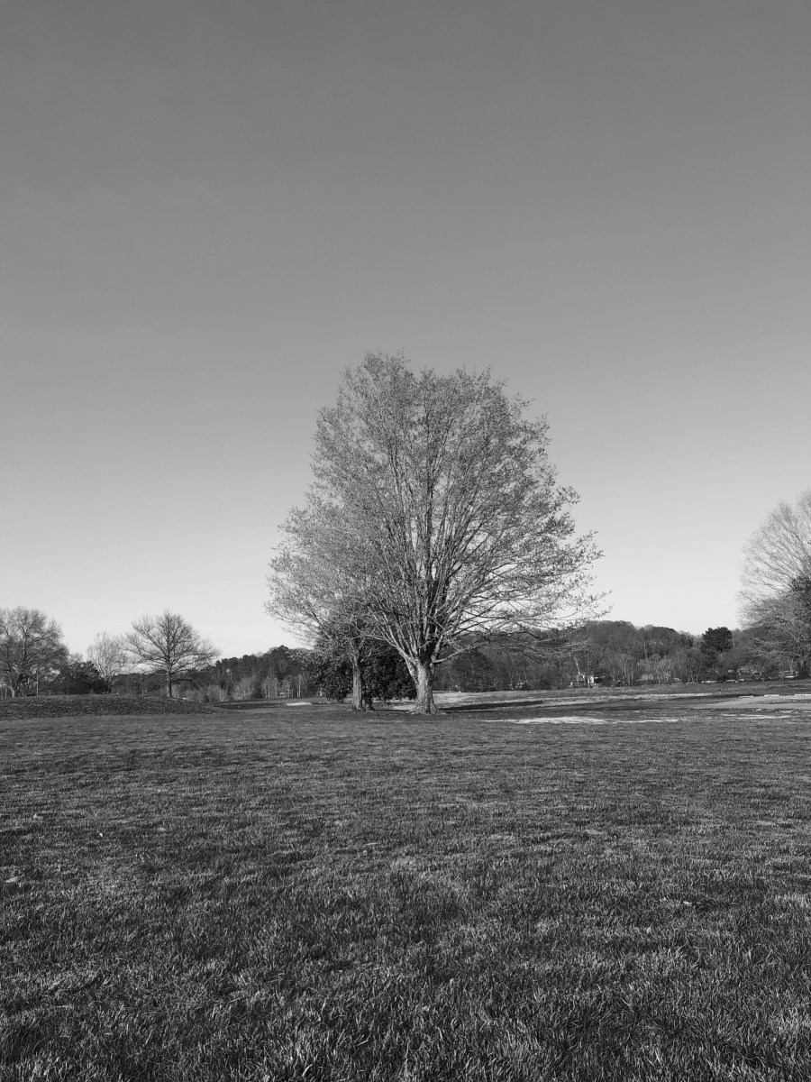 The Big Sad – Helen "HP" Rivers