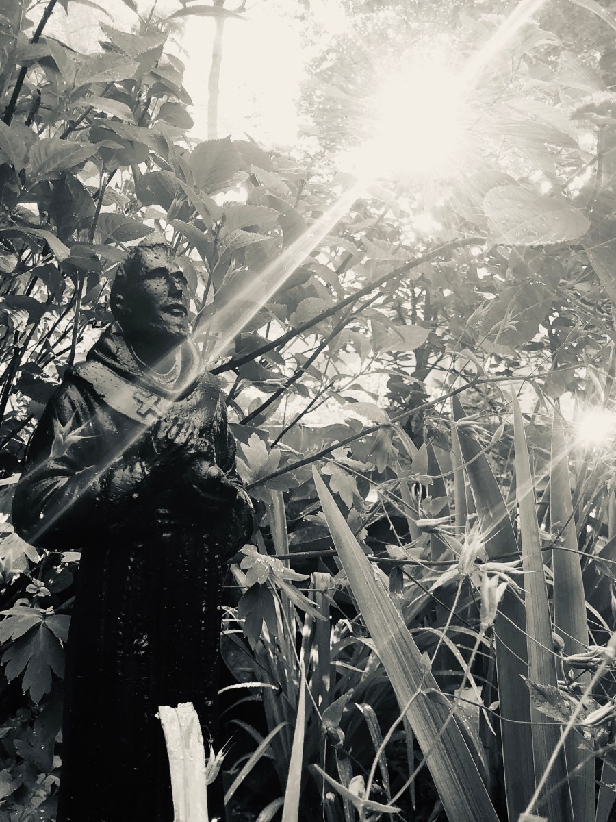 monsters – Helen "HP" Rivers